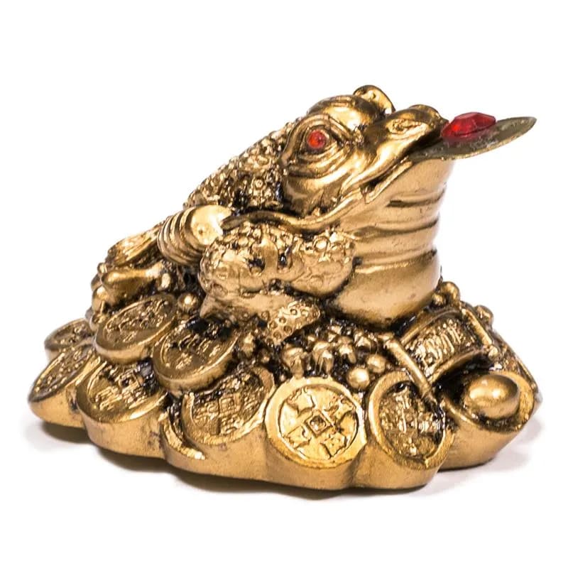 Mini Gold Money Frog – Quest